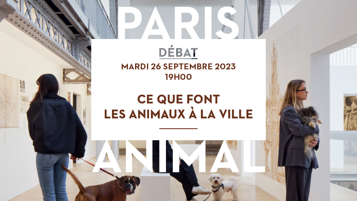Ce que font les animaux à la ville | Hors cycle | Cycles en cours ...