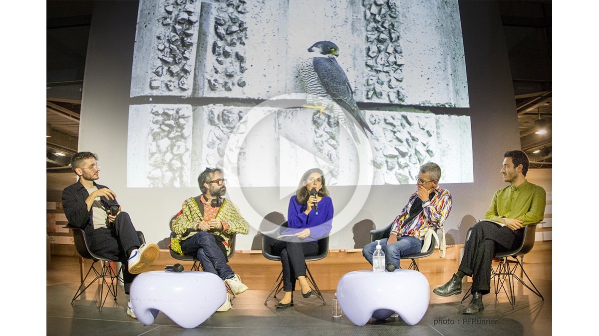 Ce que font les animaux à la ville | Vidéos | Pavillon de l'Arsenal